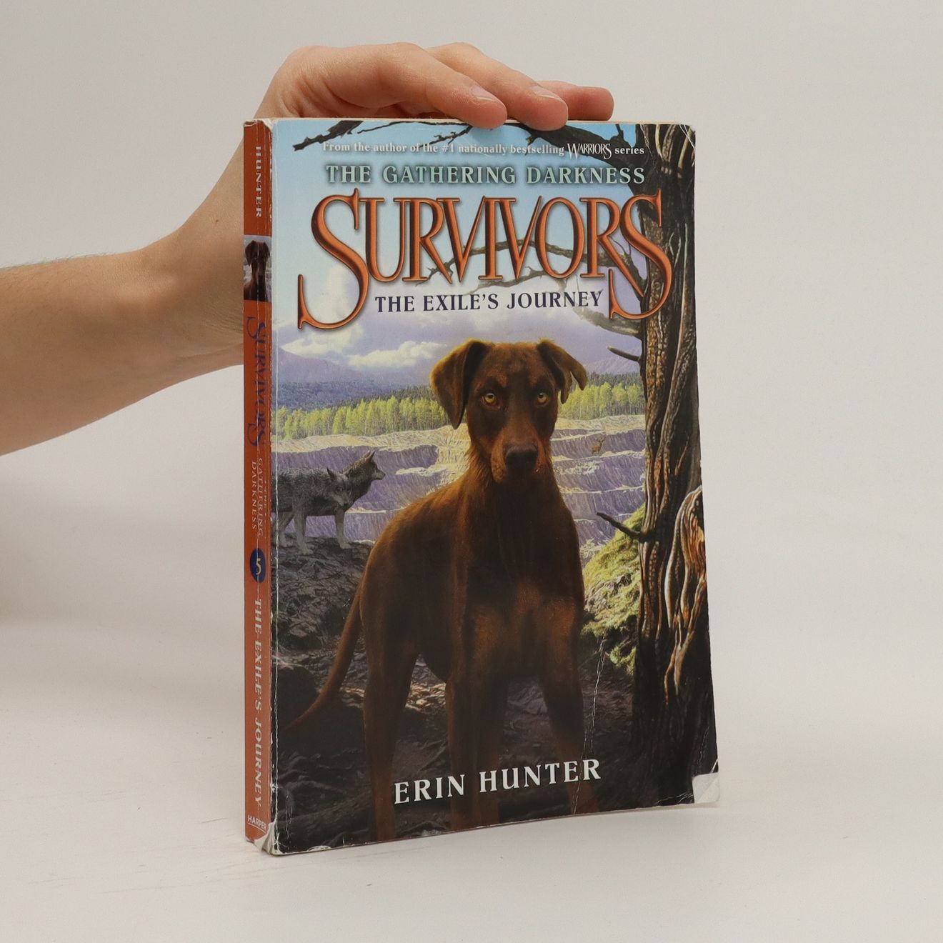 Wolf Pack Law: Twilight - bookbot.com