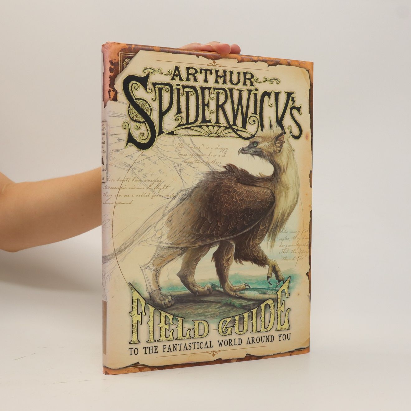 The Spiderwick Chronicles - Companion Books - bookbot.com