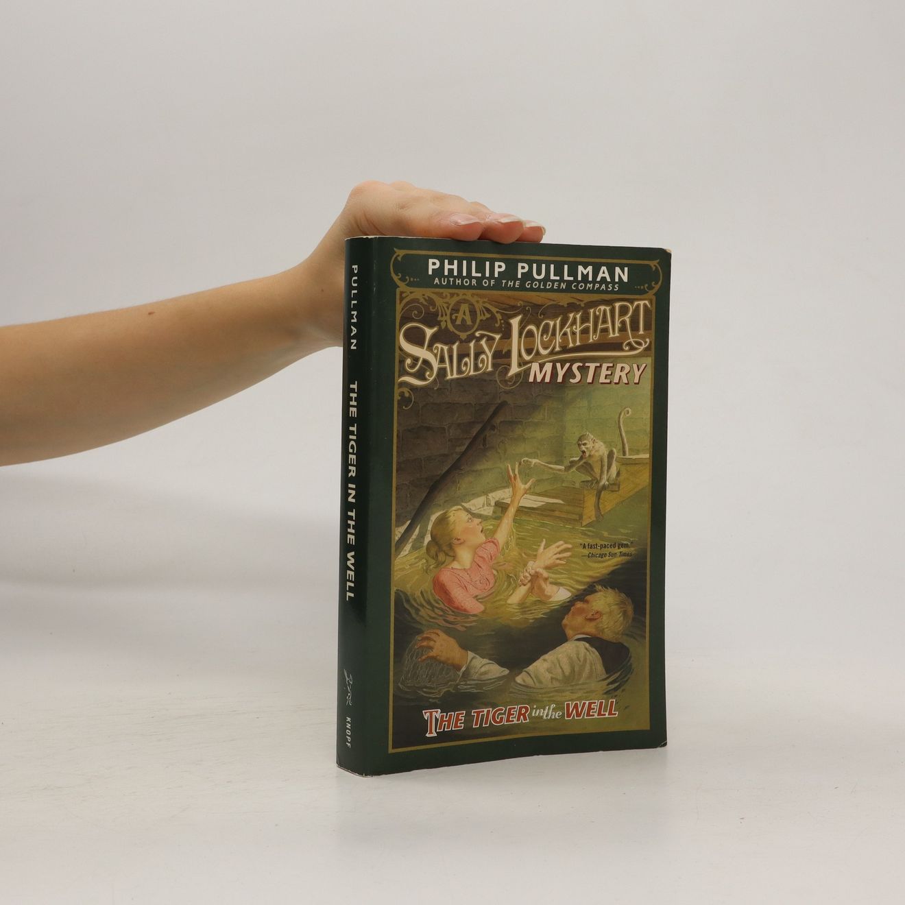 Sally Lockhart - bookbot.com
