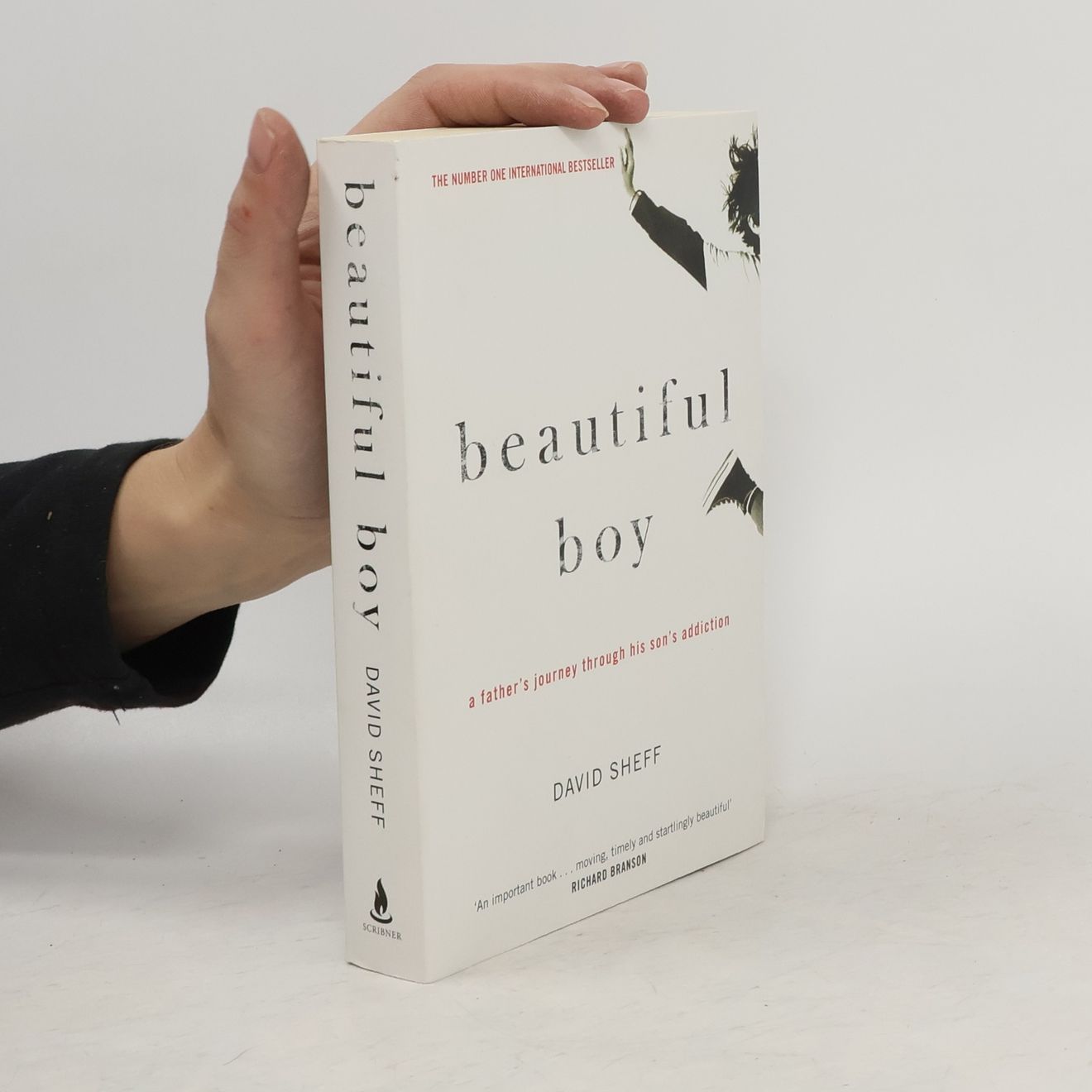 David Sheff (Pořadí knih) | knihobot.cz