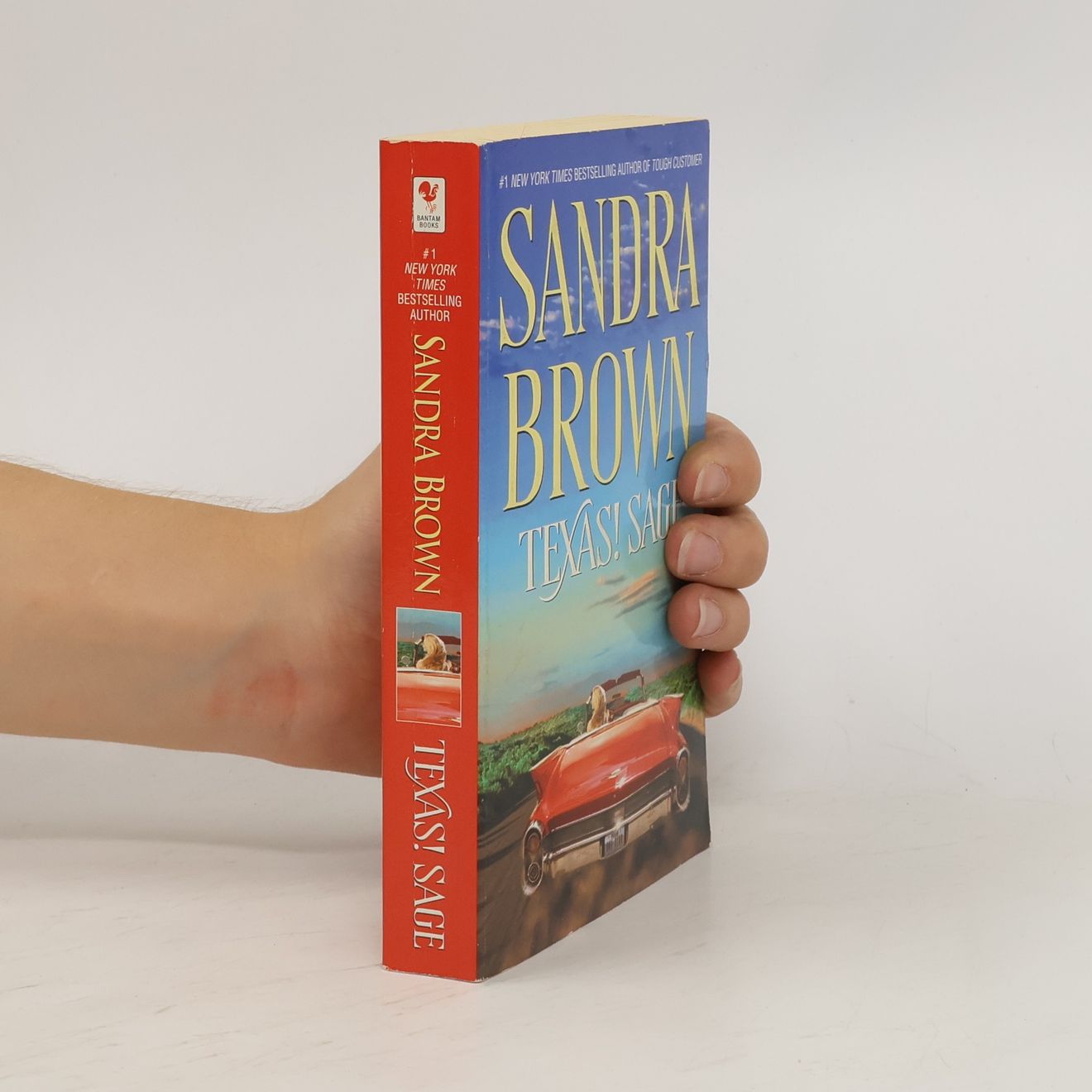 Texas: La saga de la familia Tyler Serie (libros) - bookbot.es