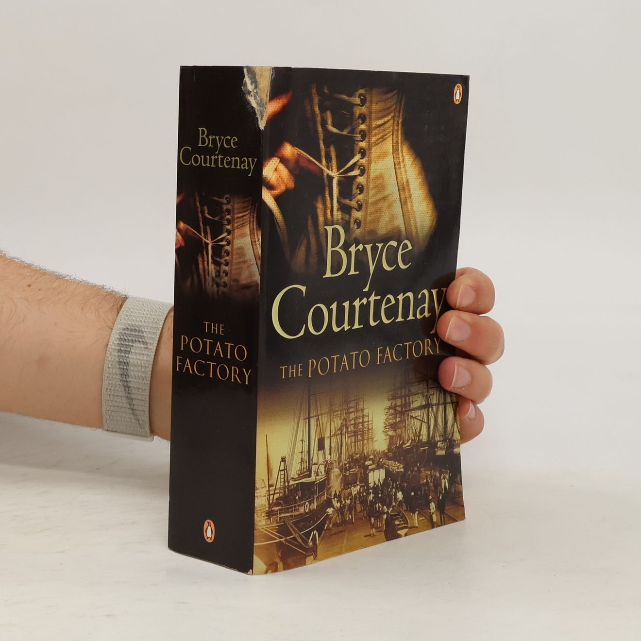 Továrna na brambory - knihobot.cz