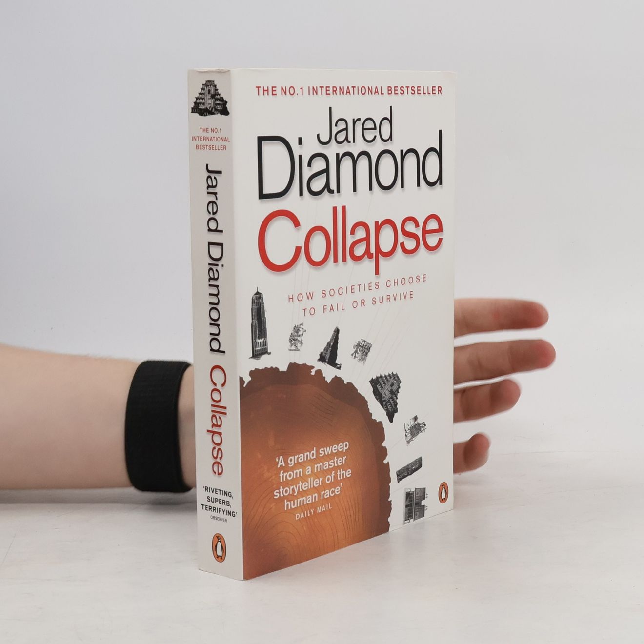 Civilizations Rise and Fall - bookbot.com