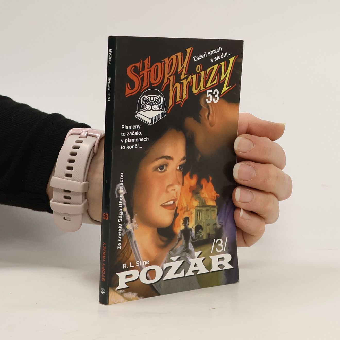 Fear Street Saga - bookbot.com
