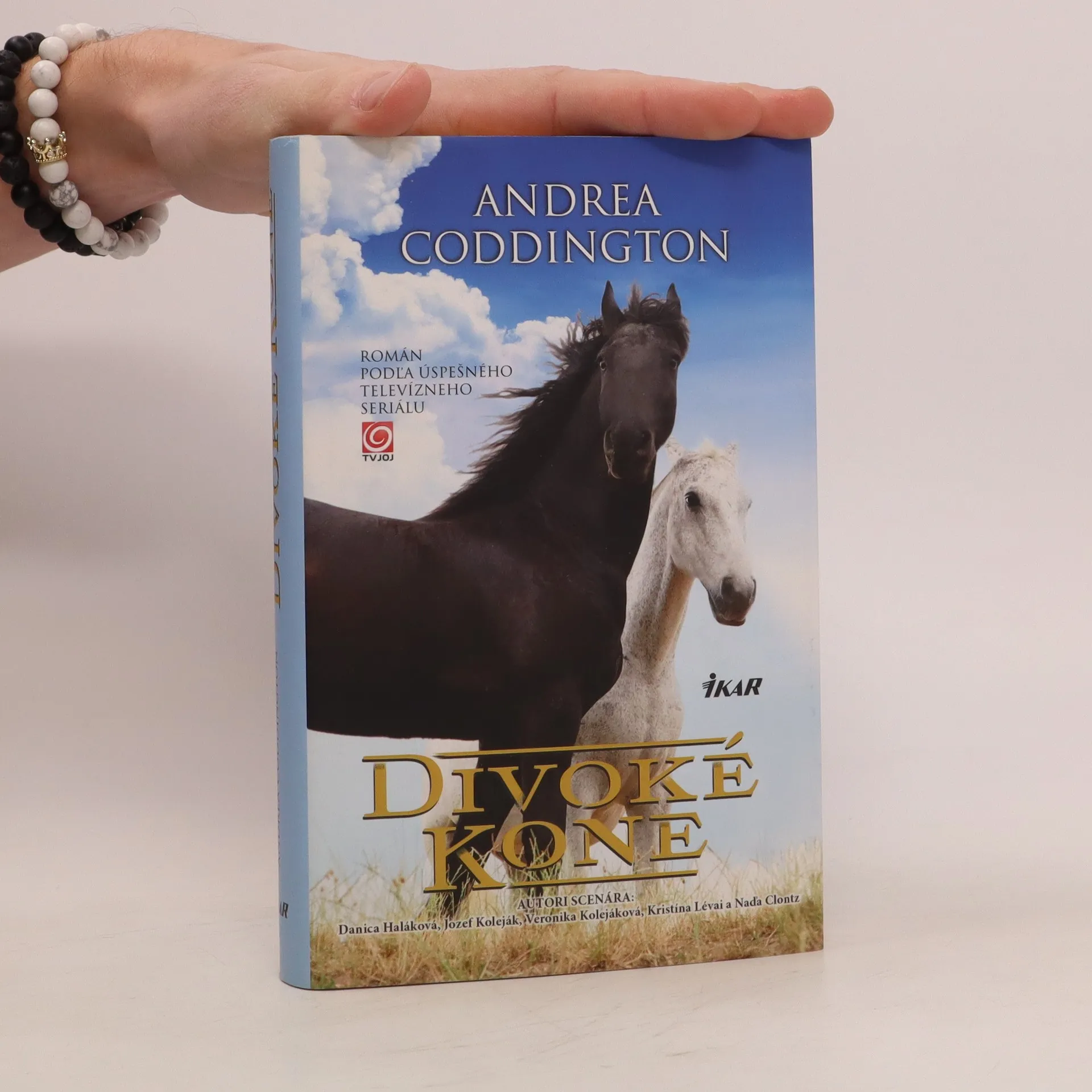 Divoké kone - Andrea Coddington - knihobot.cz