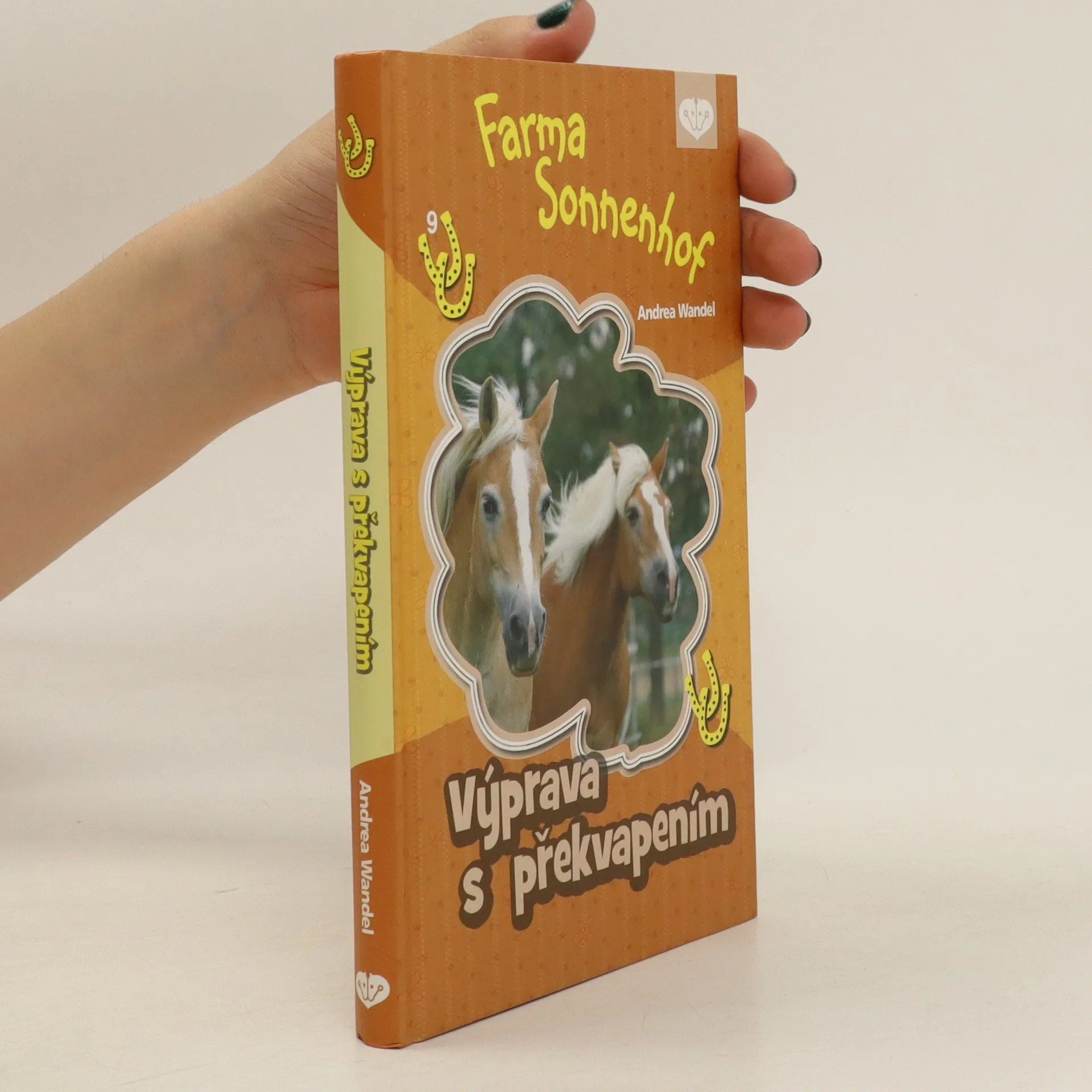 Výprava s překvapením - Andrea Wandel - knihobot.cz