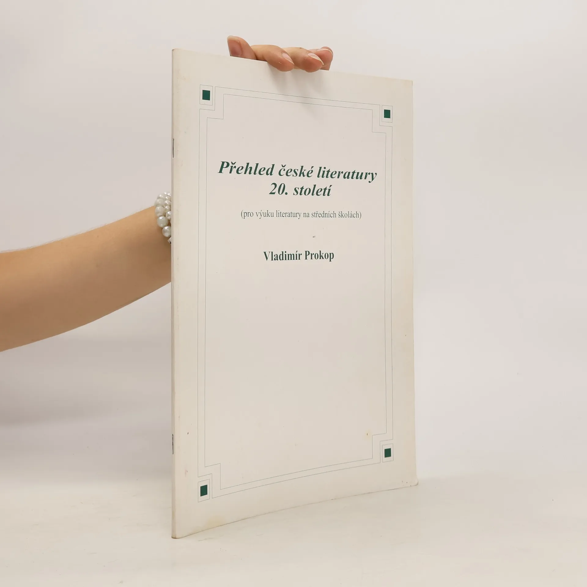 Přehled české literatury 20. století - Vladimír Prokop - knihobot.cz
