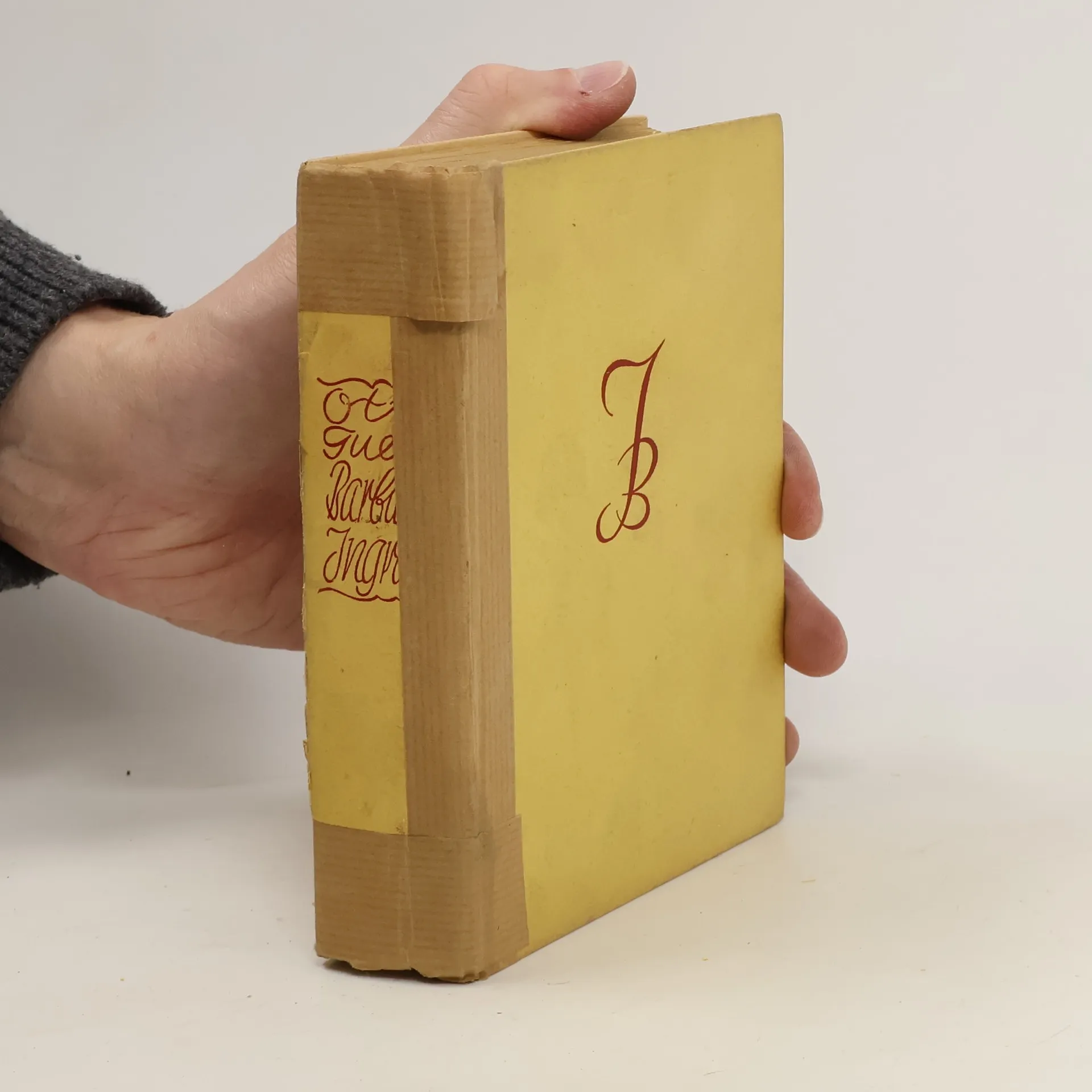 Barbara Ingram - Otto Guem - knihobot.cz