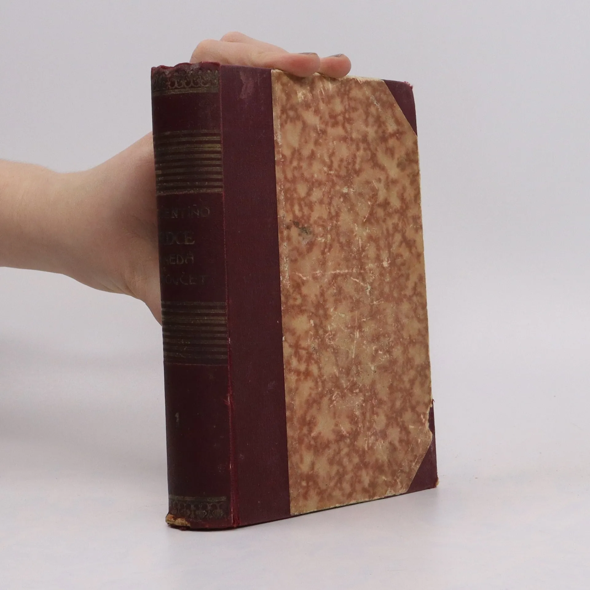 Srdce si nedá poroučet - R. Vallentino - knihobot.cz