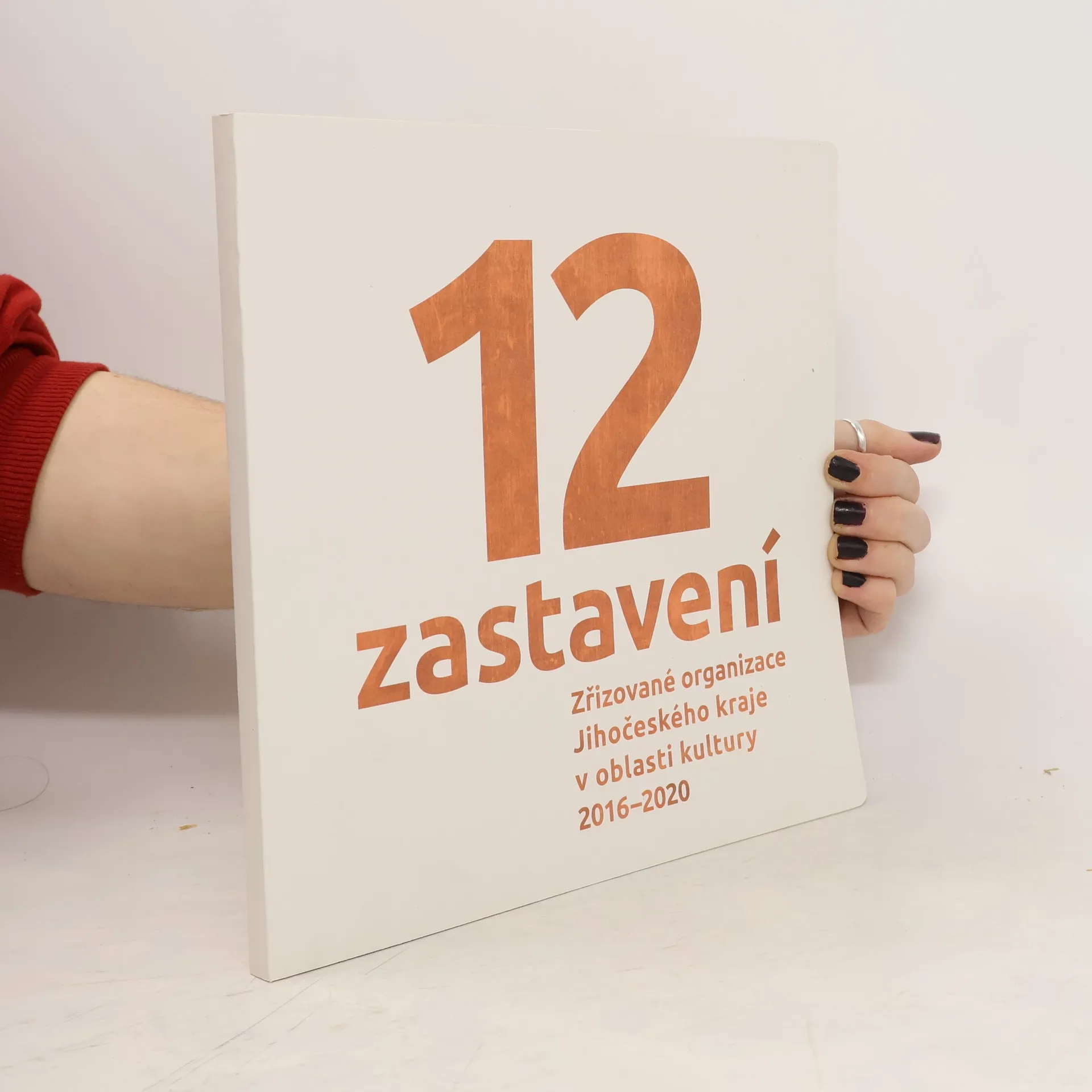 12 zastavení - kolektiv - knihobot.cz