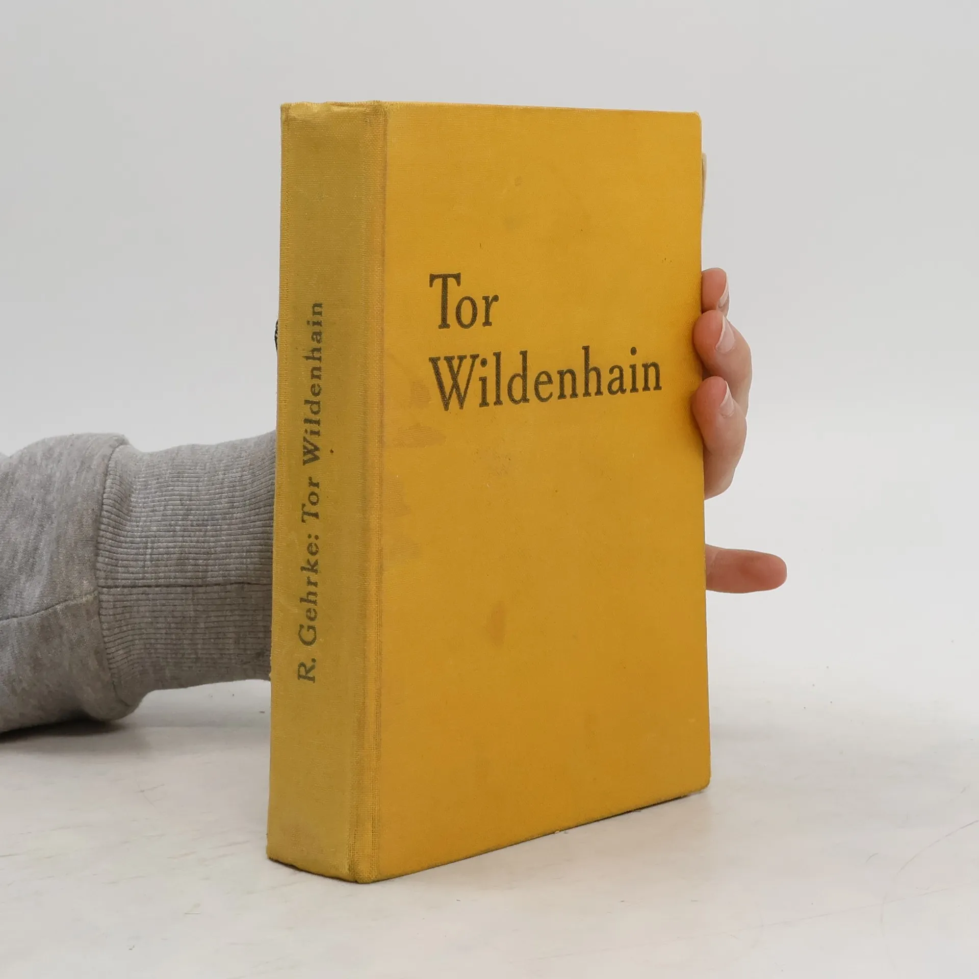 Tor Wildenhain - Robert Gehrke - knihobot.cz