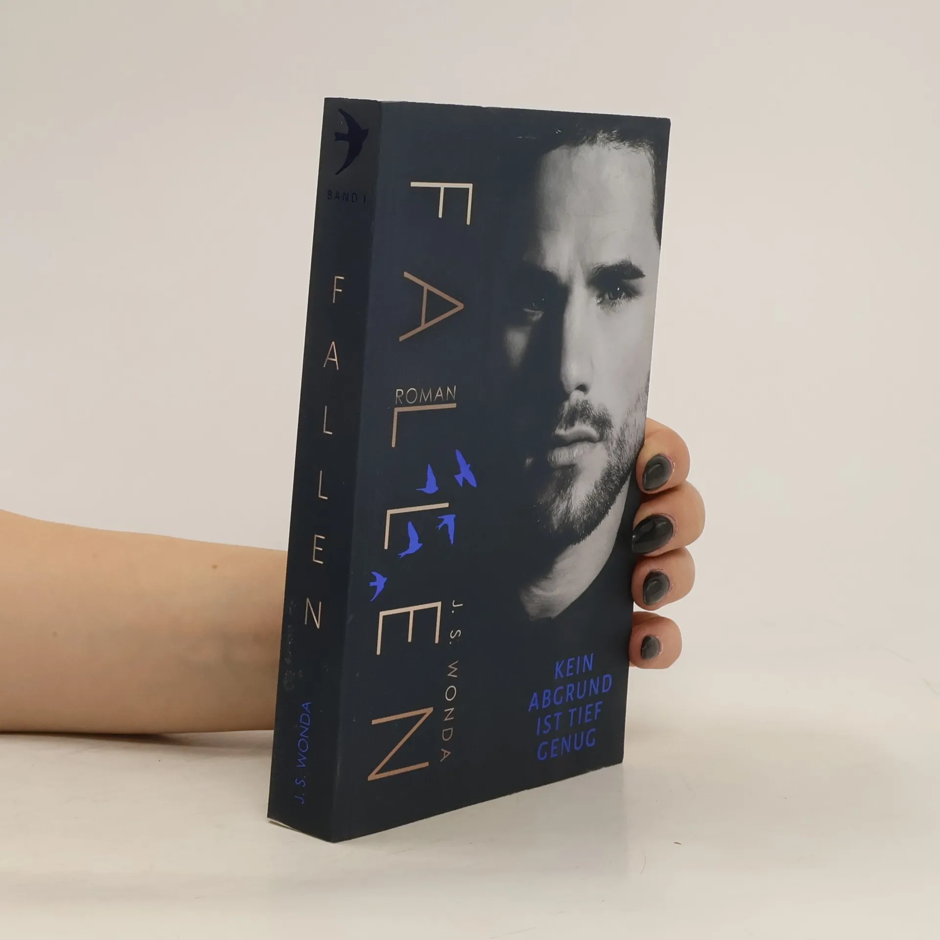 Fallen - Jane S. Wonda - knihobot.cz