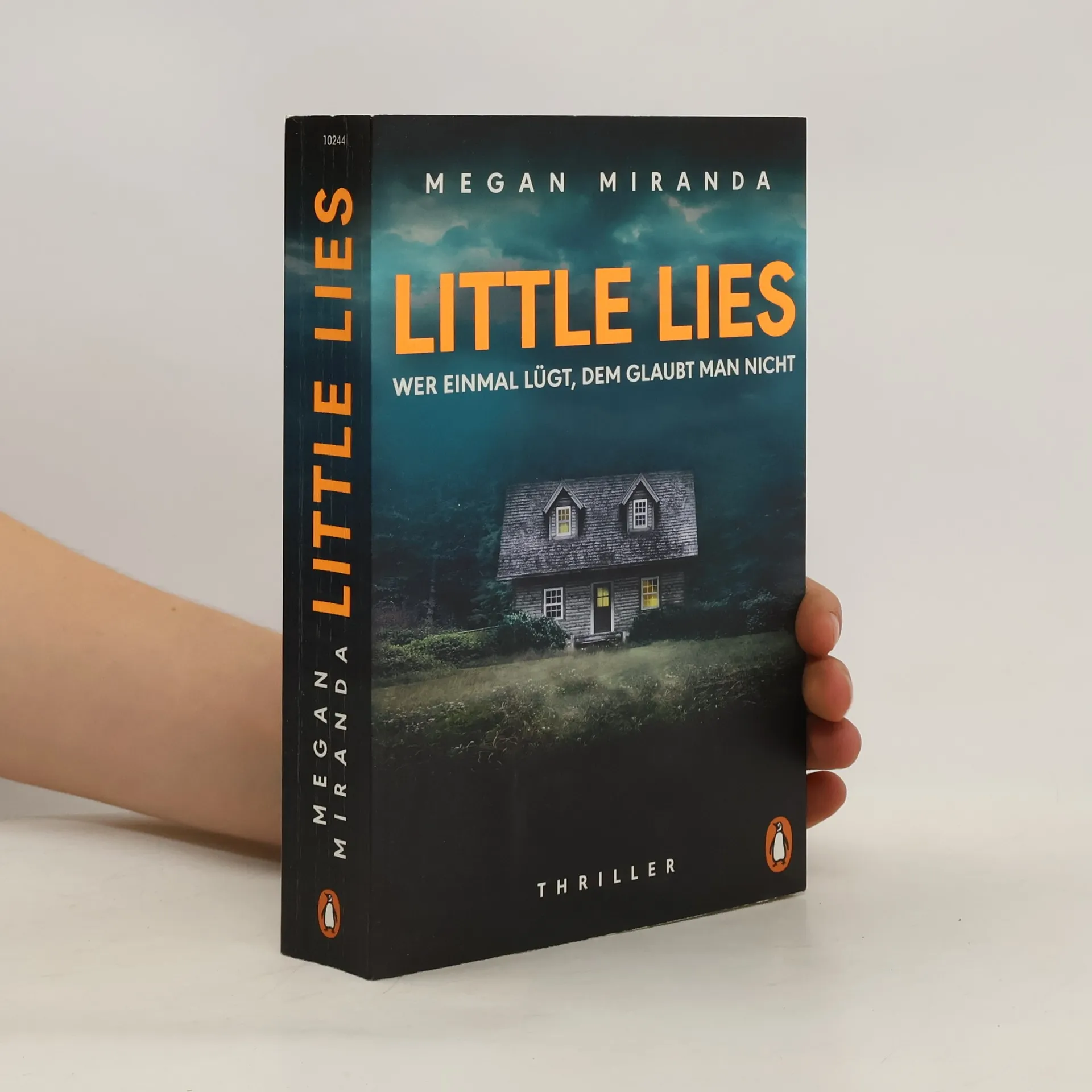 LITTLE LIES – Wer einmal lügt, dem glaubt man nicht - Megan Miranda - knihobot.cz