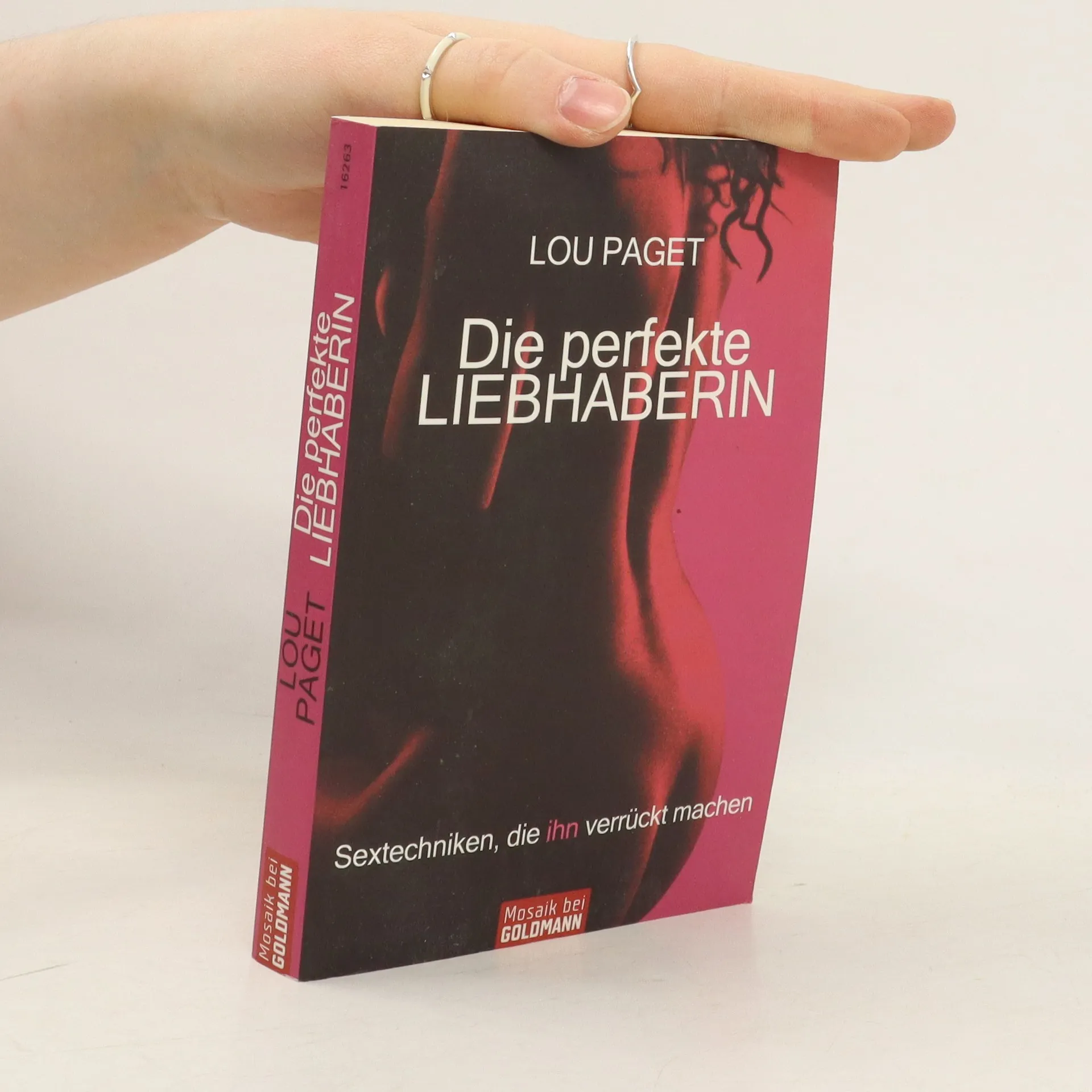 Die perfekte Liebhaberin - Lou Paget - knihobot.cz