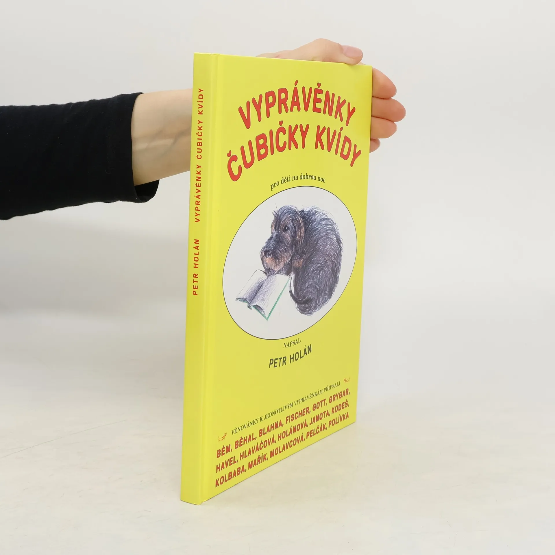Vyprávěnky čubičky Kvídy (pro děti na dobrou noc) - Petr Holán ...