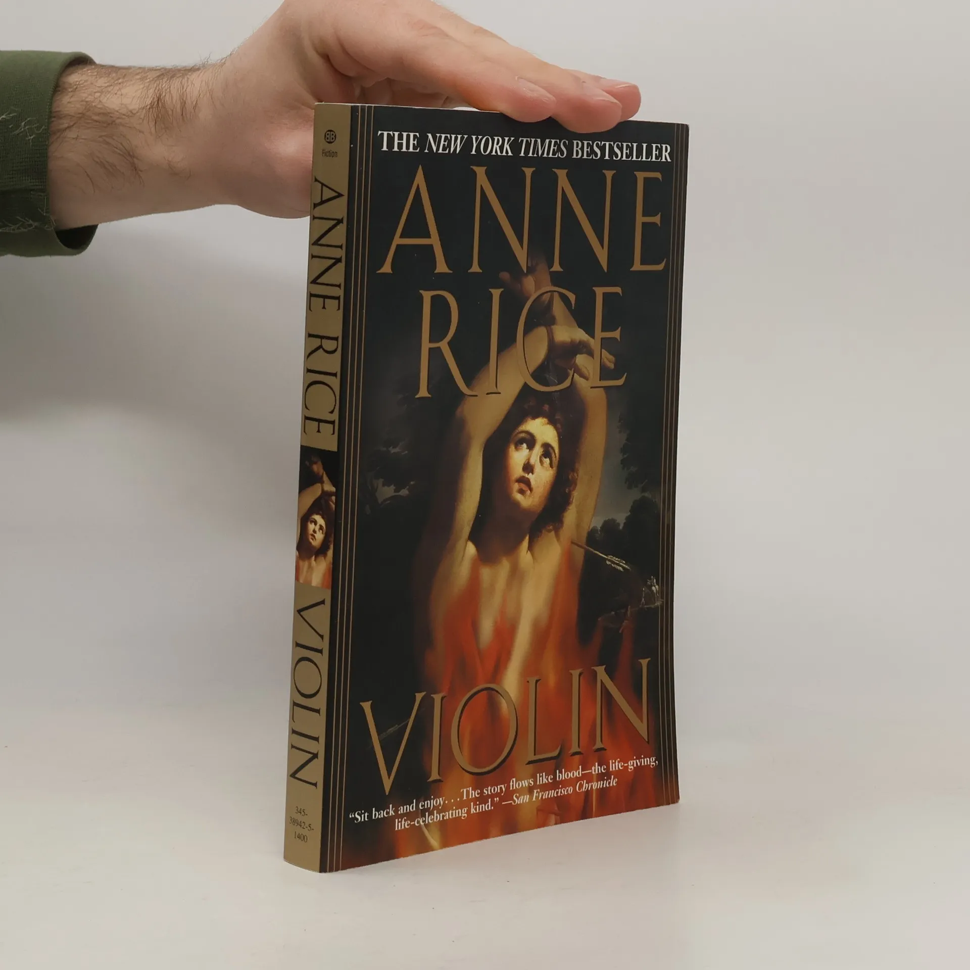 Violin - Anne Rice - knihobot.cz