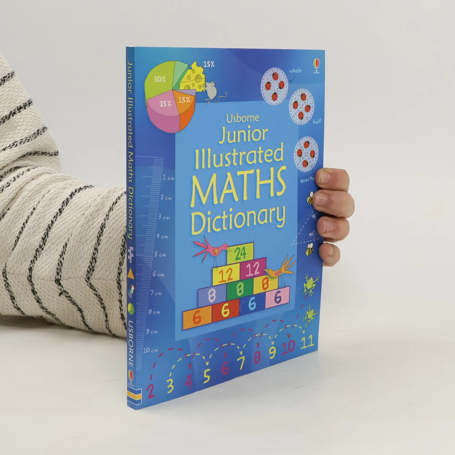 Junior Illustrated Maths Dictionary - kolektiv - knihobot.cz