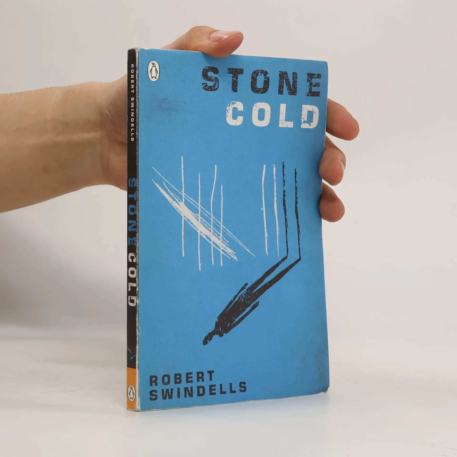 Stone Cold - Robert E. Swindells - knihobot.sk