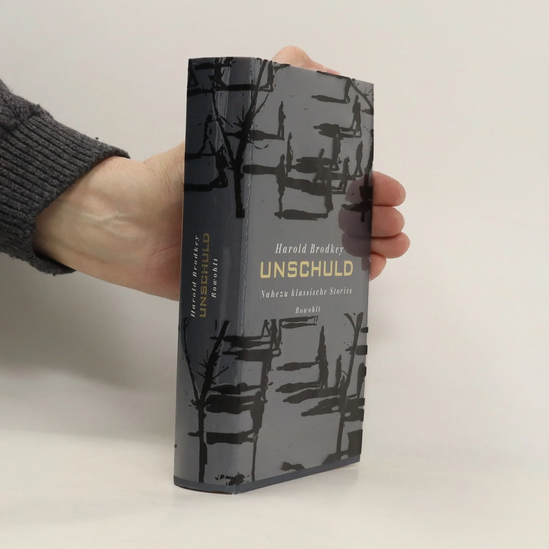 Nahezu klassische Stories - Harold Brodkey - knihobot.cz