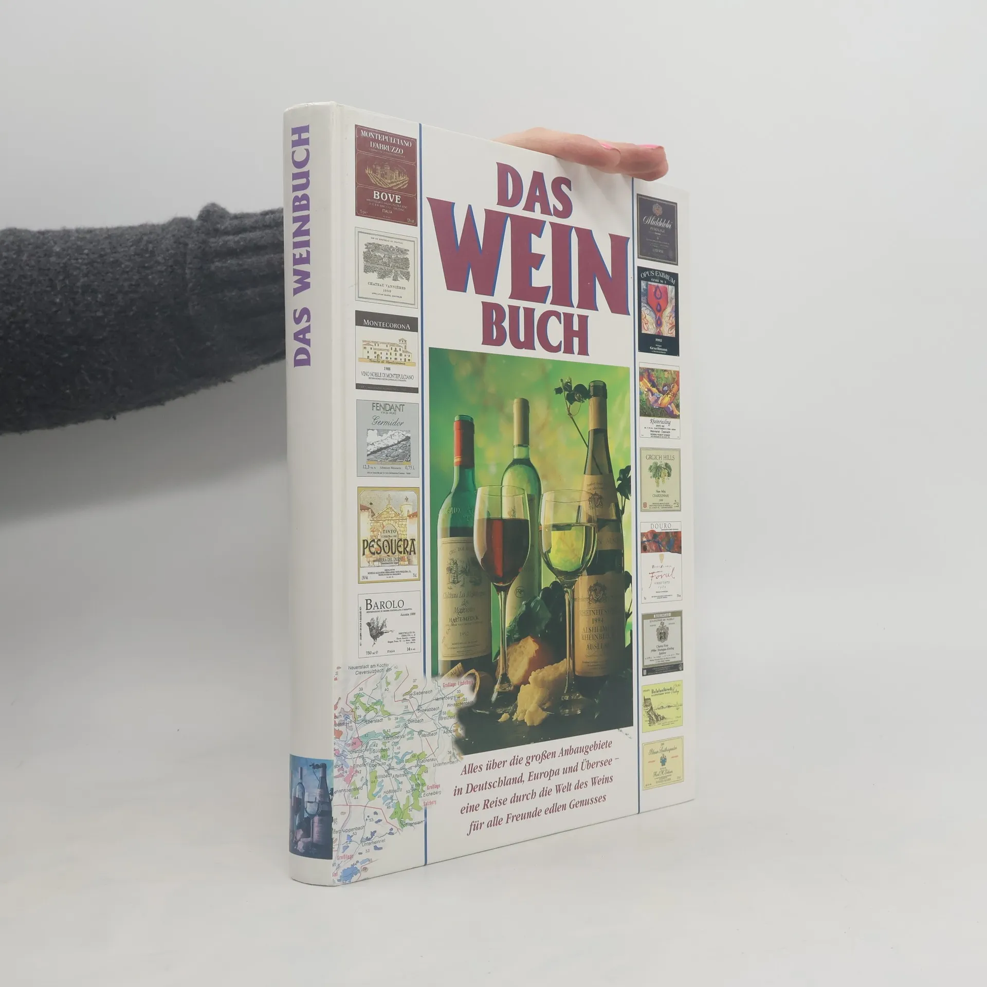 Das Wein Buch - kolektiv - knihobot.cz