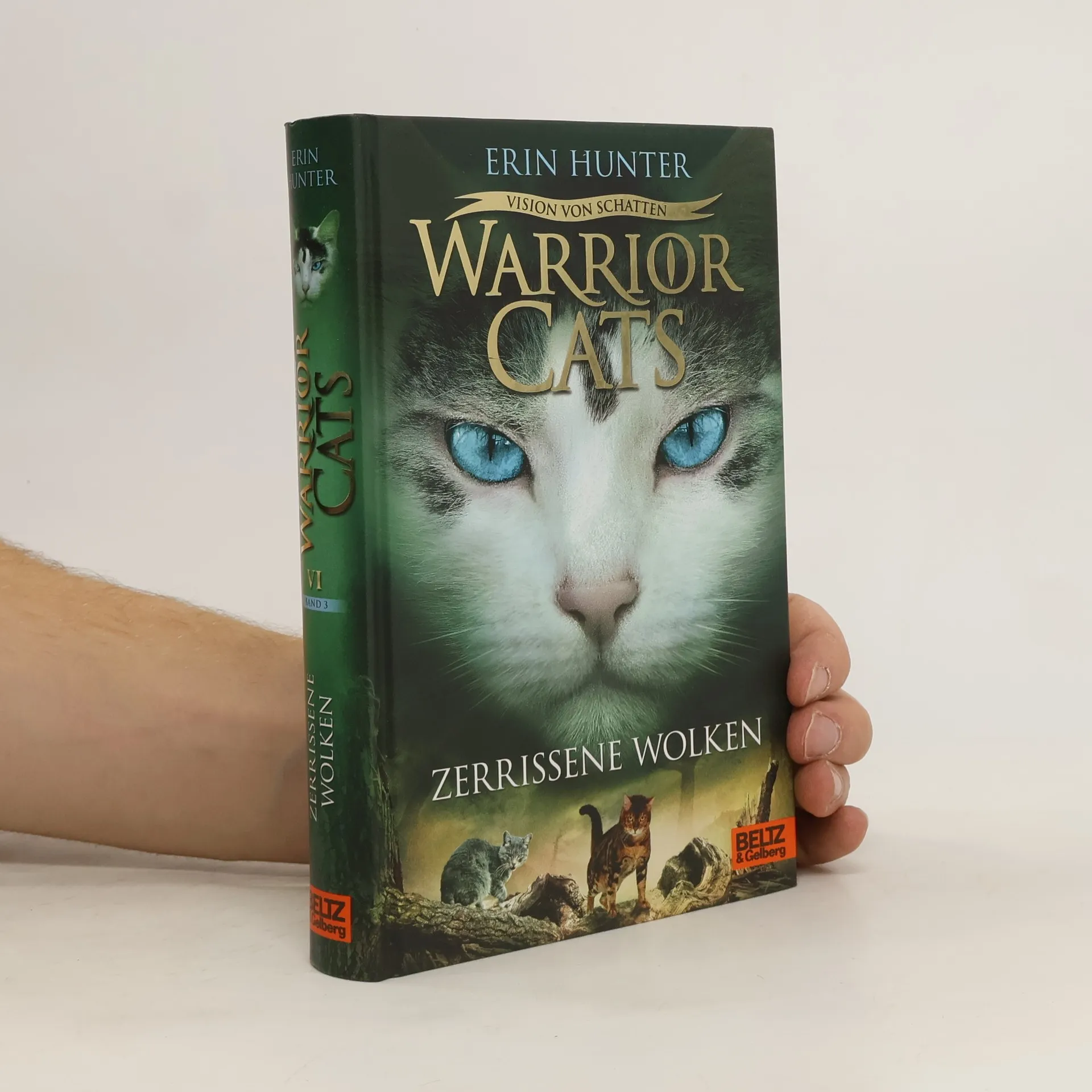 Zerrissene Wolken - Erin Hunter - knihobot.cz