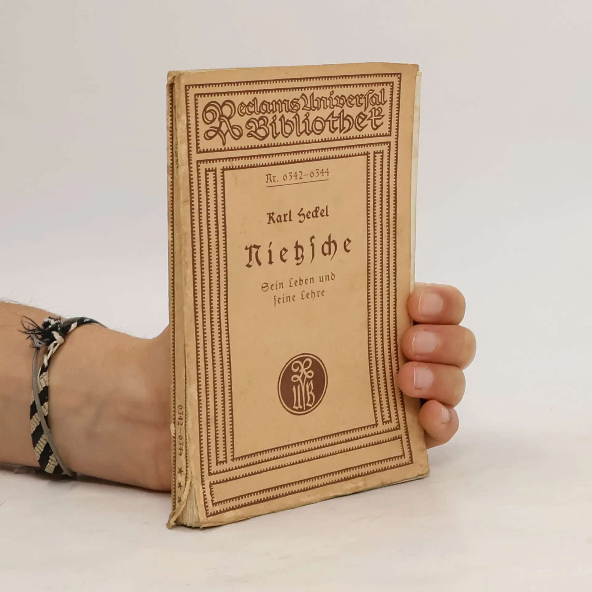 Seine Leben und seine Lehre - Karl Seckel Rietzsche - knihobot.cz