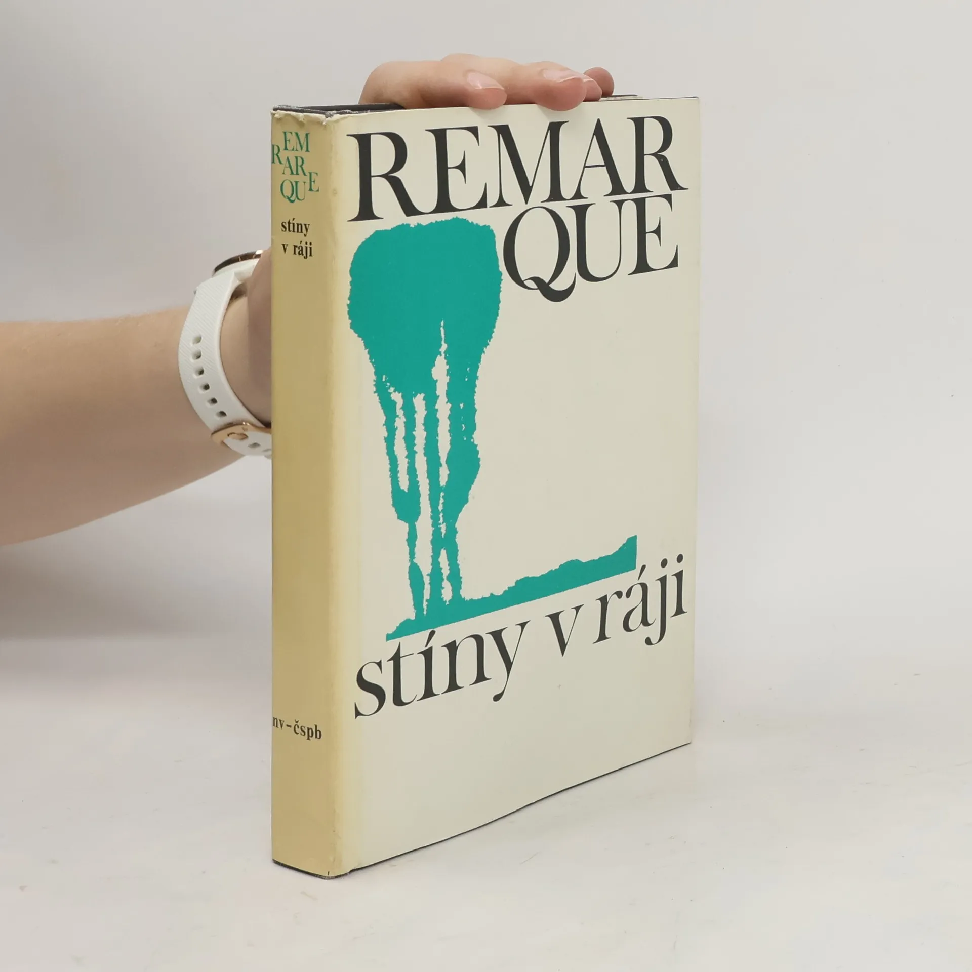 Stíny v ráji - Erich Maria Remarque - knihobot.cz