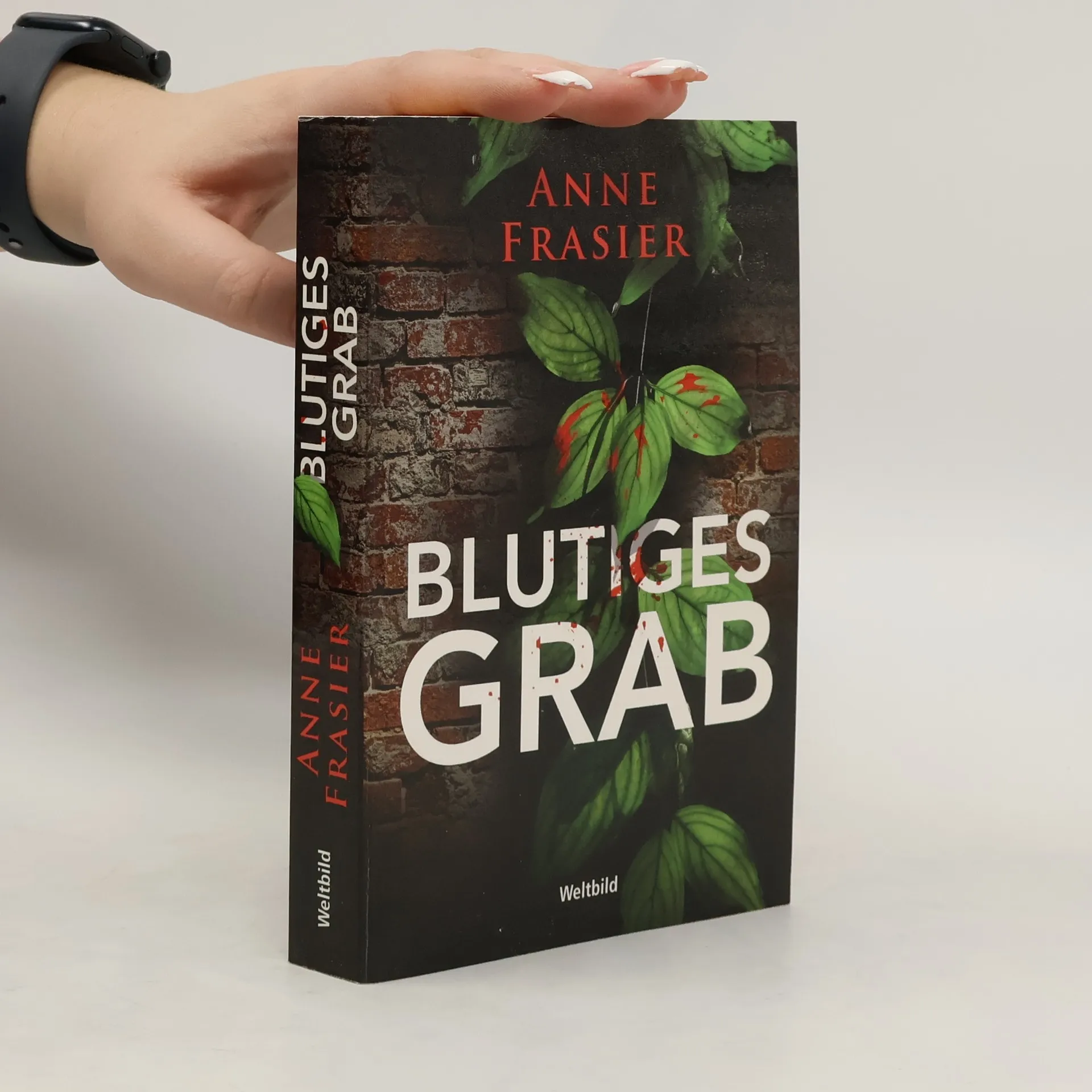 Blutiges Grab - Anne Frasier - knihobot.cz