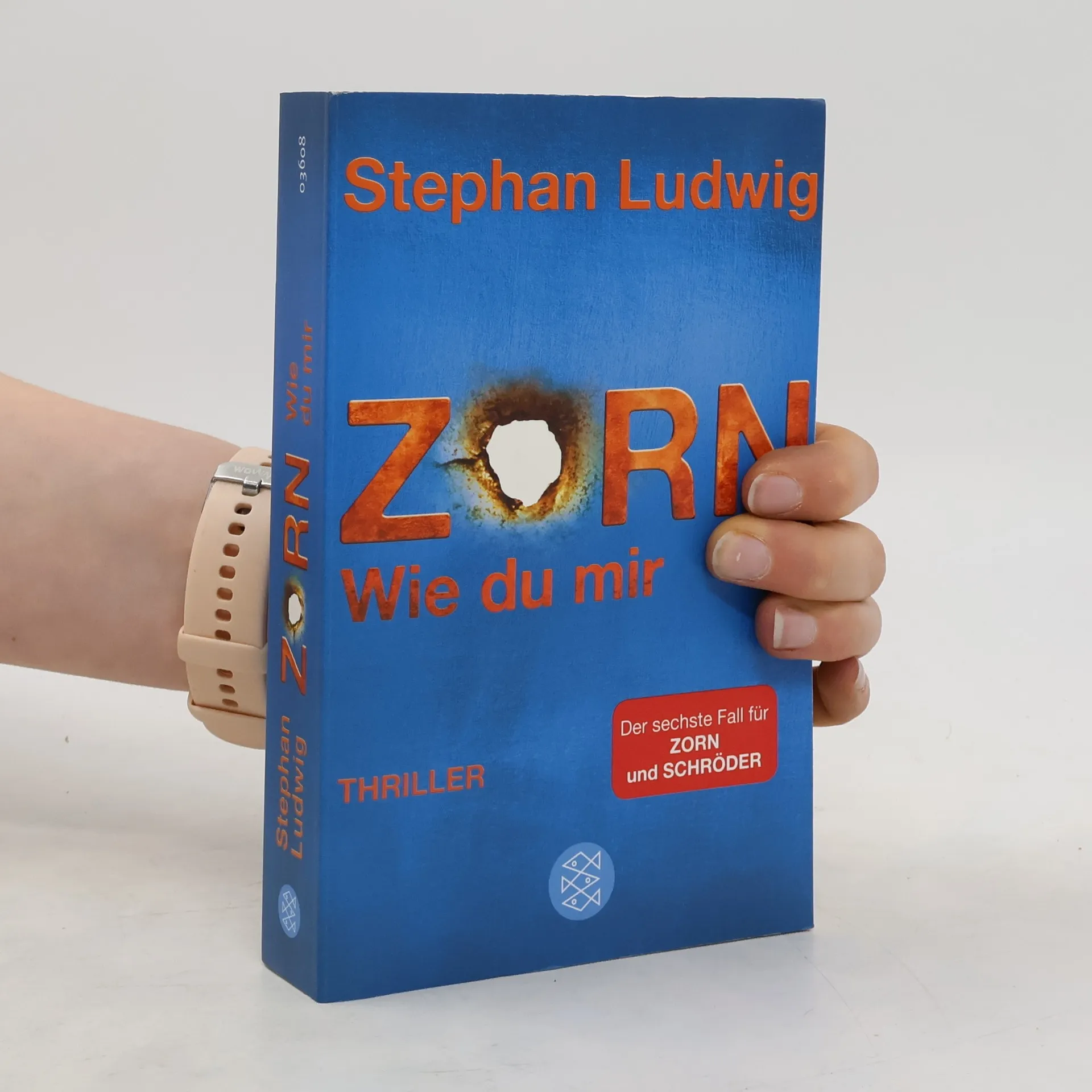 Zorn - wie du mir - Stephan Ludwig - knihobot.cz