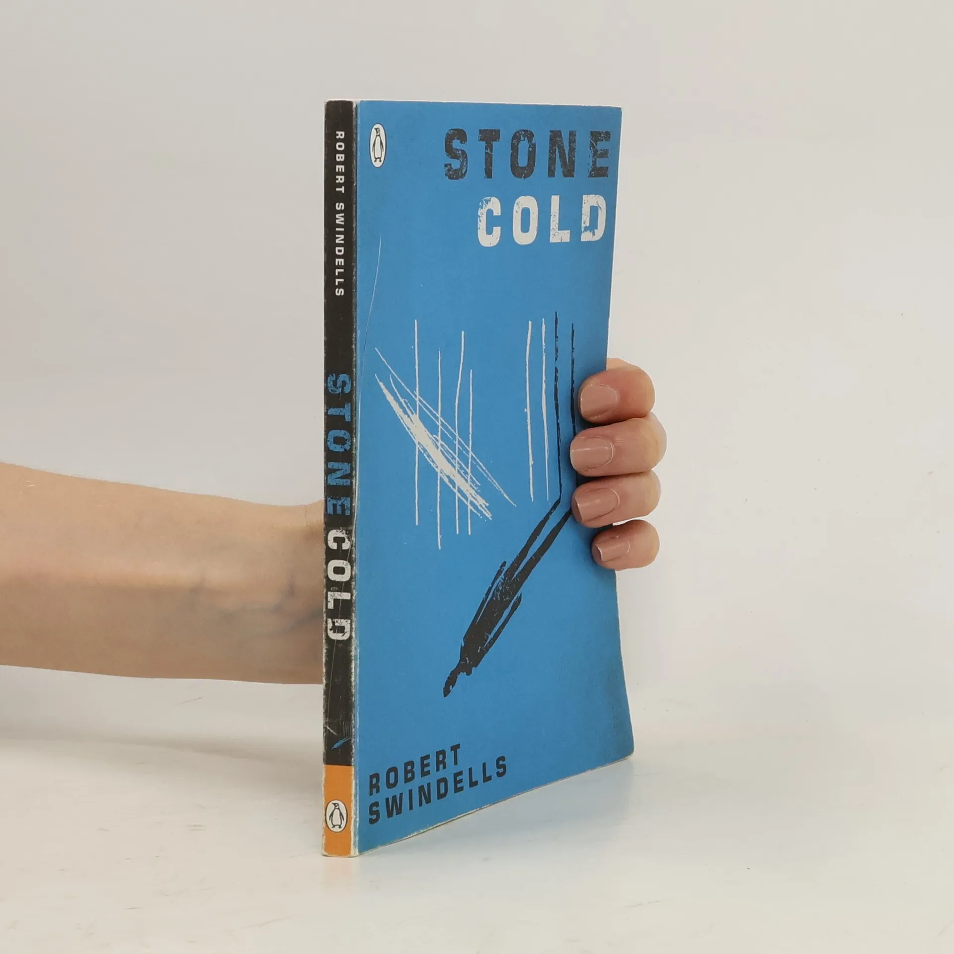 Stone Cold - Robert E. Swindells - knihobot.cz