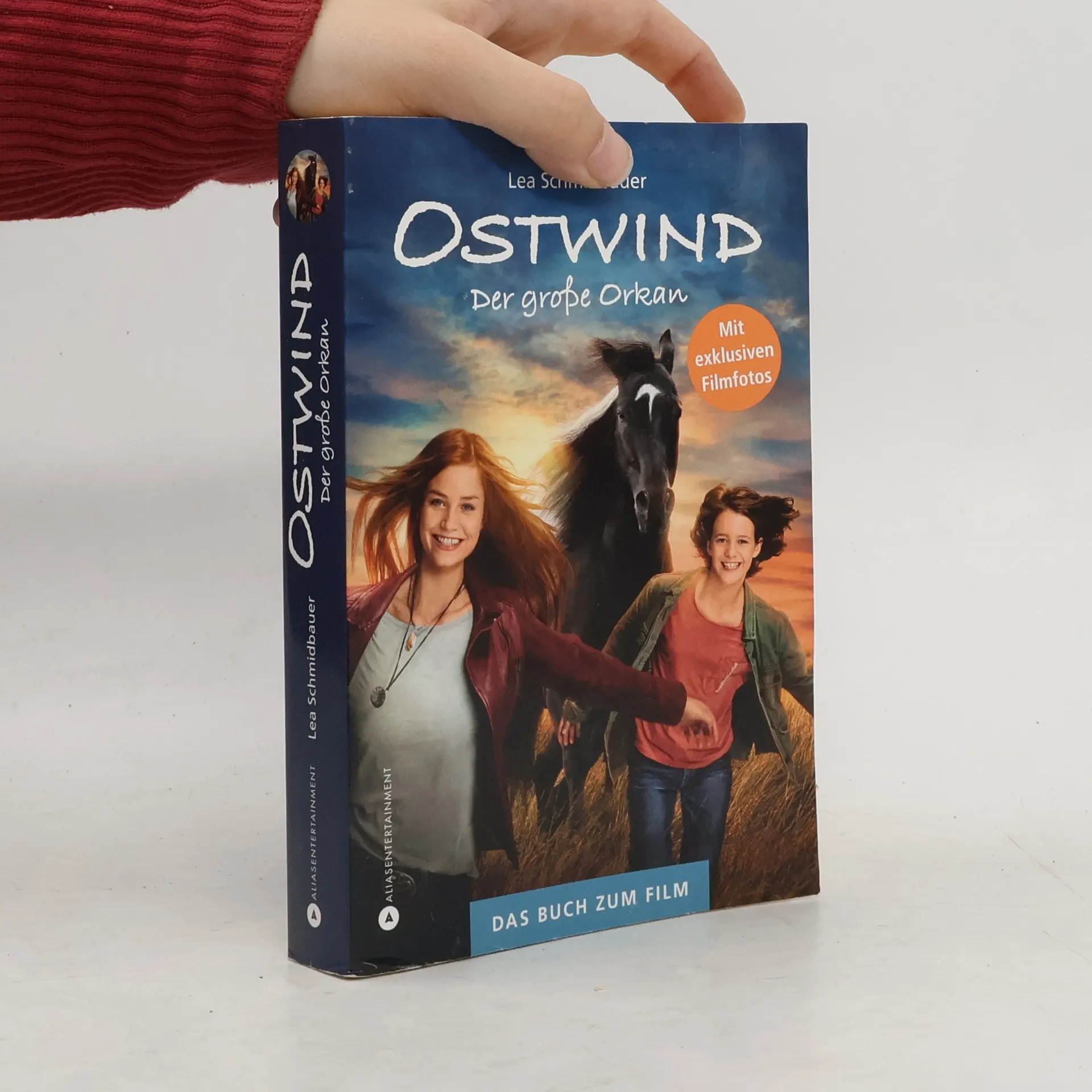 Ostwind. Der große Orkan - Lea Schmidbauer - knihobot.cz