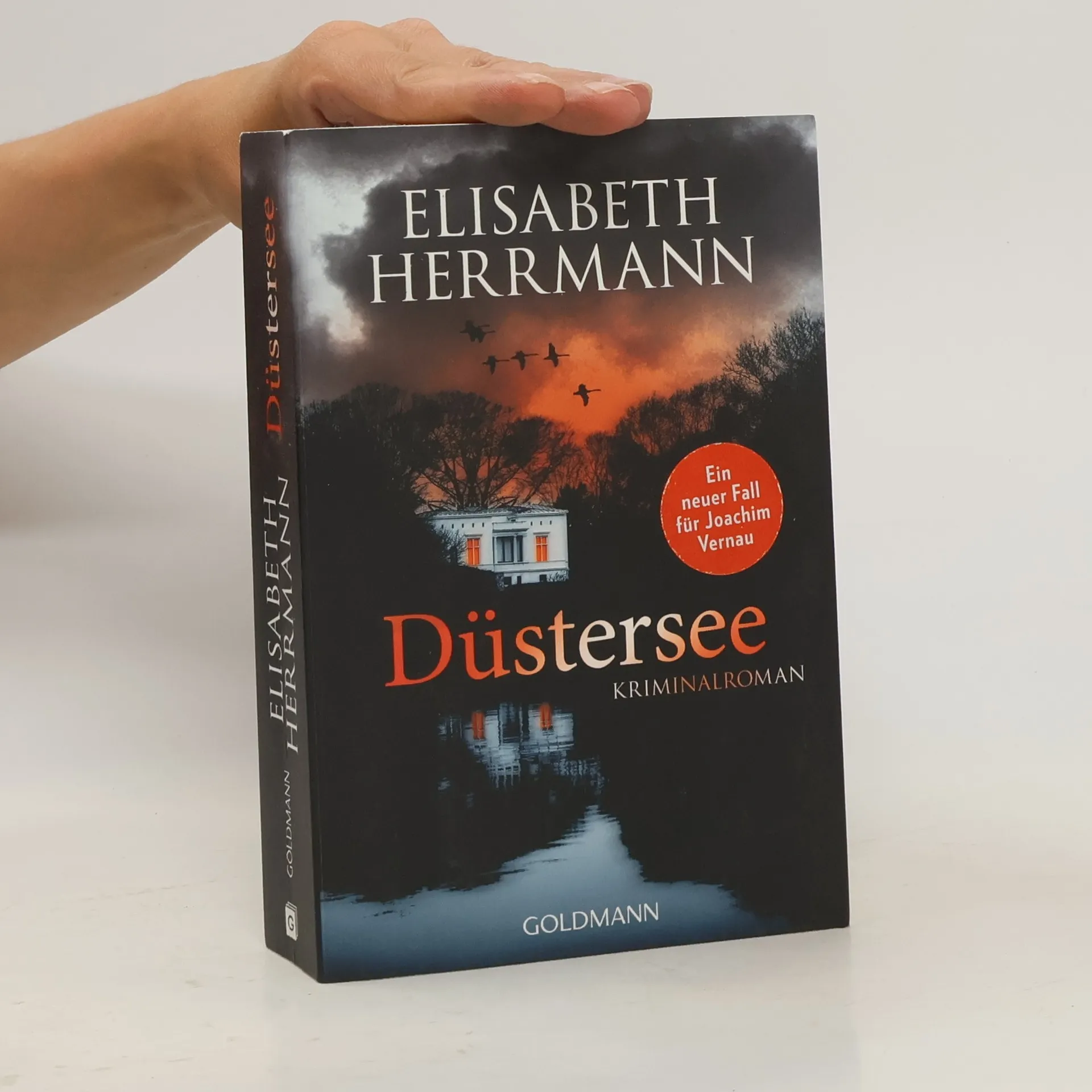 Düstersee - Elisabeth Hermann - knihobot.cz