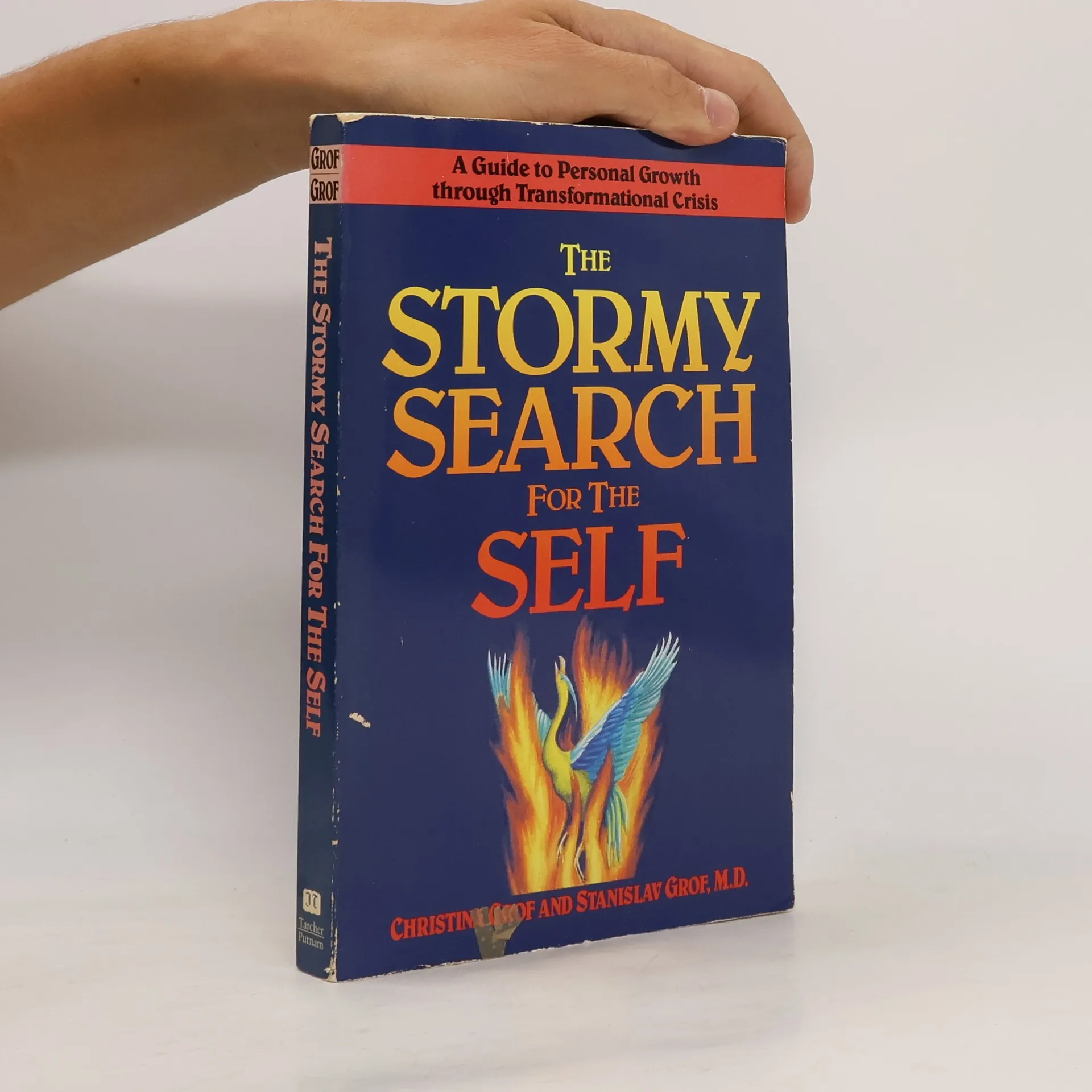 The Stormy Search for the Self - Jeremy P. Tarcher - knihobot.cz